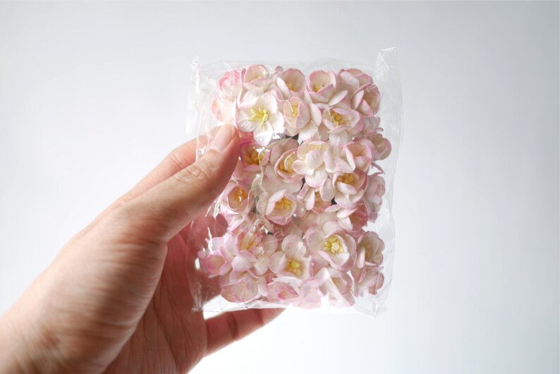 Paper Flower, 50 Pieces, Size 2.5 Cm. Cherry Blossom, Soft Pink Brush ...