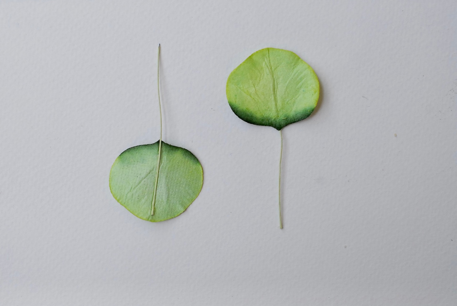 PAPER LEAVES Leaves DIY Wedding Supplies Gift Decoration - Etsy