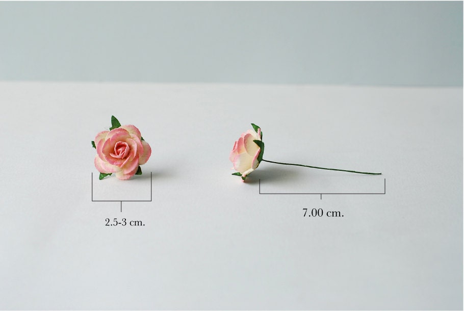 Paper Flower 50 Pieces Mini Rose Size 2.5 Cm. Pink Brush - Etsy