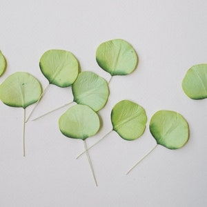 PAPER LEAVES, Leaves, , DIY Wedding Supplies, Gift Decoration, Leaves ...