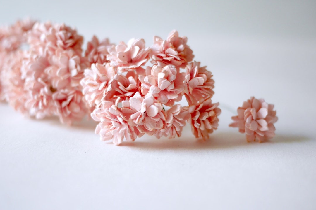 Paper Flower,50 Pieces Big Baby Breath, Size 2 Cm., Pale Pink Color. - Etsy