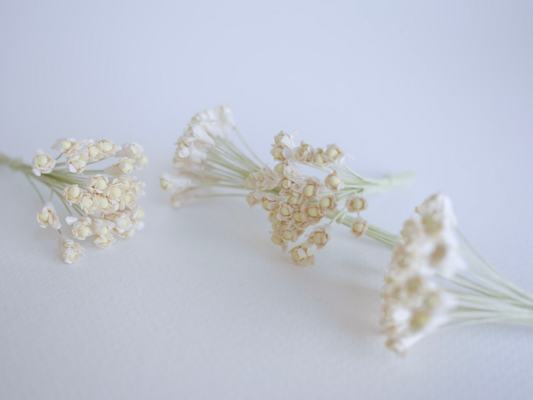 Ivory Mulberry Paper Baby Breath: DIY Wedding Flowers (100 Pieces) - Etsy