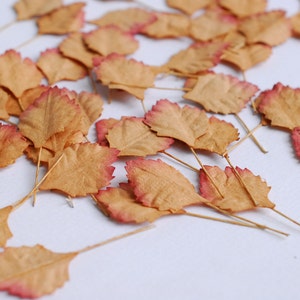 Paper Flower, 50 Leave, Brown Color, Handmade. - Etsy