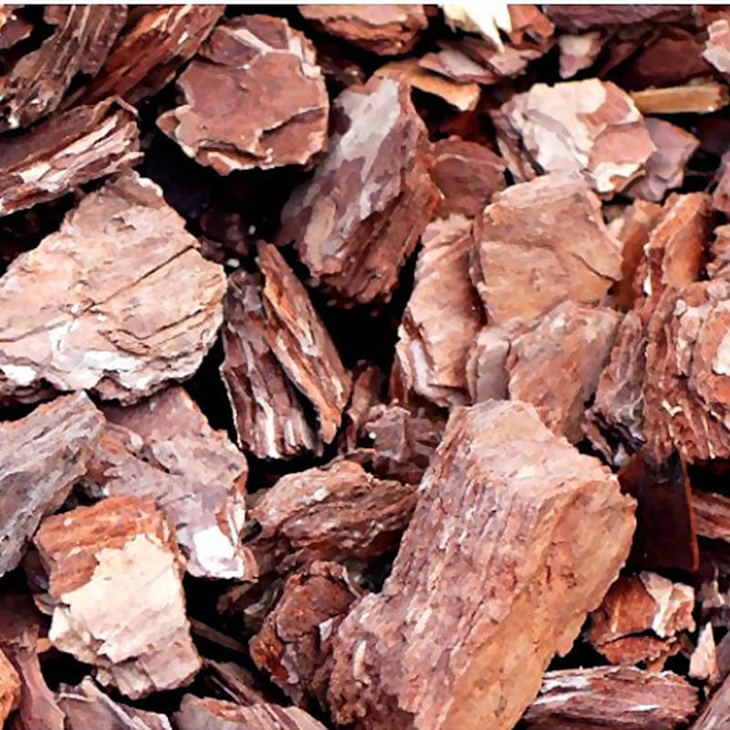 Cedar Bark - Etsy