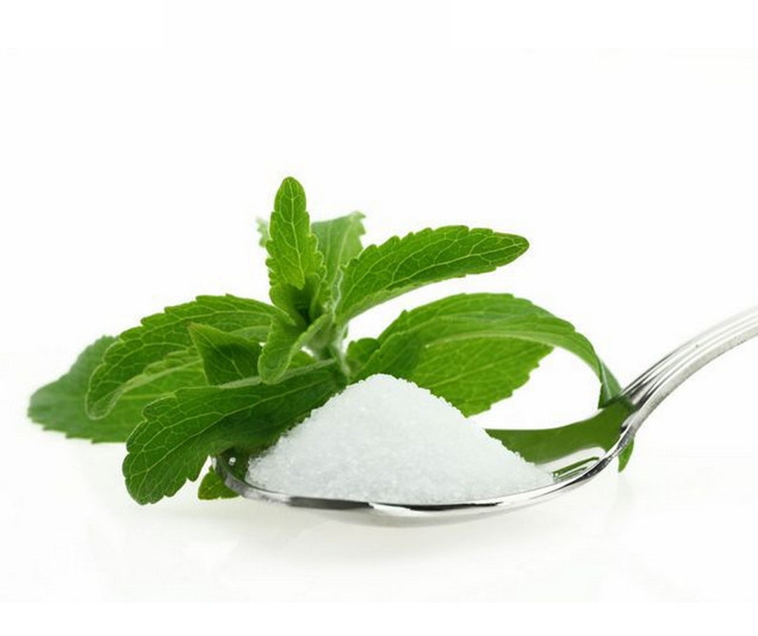 Stevia White Organic Powder - Etsy