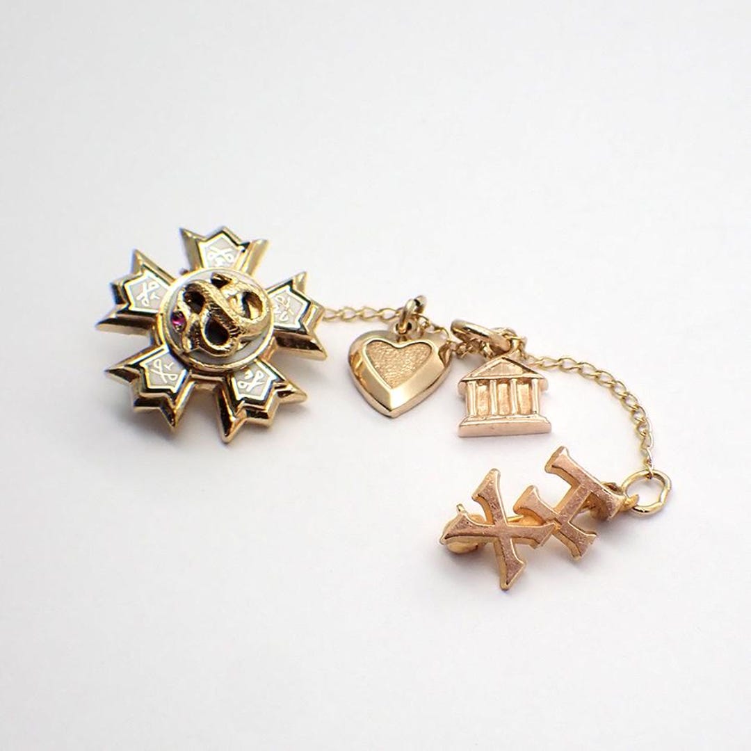 Sigma Nu Fraternity Pin 10K Gold Enamel - Etsy