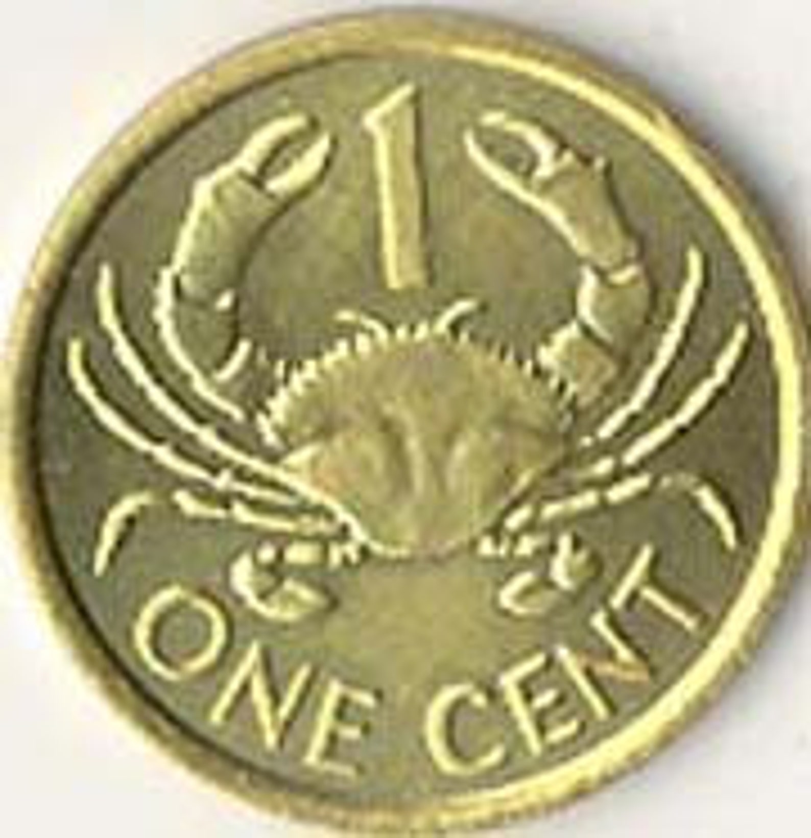 Coin Connoisseur Crab Coin Duo Two Crab Coins Seychelles - Etsy