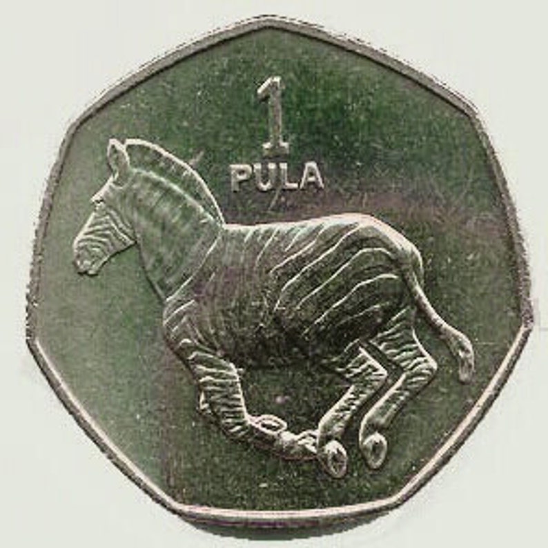 Zebra Coin Botswana 1 pula coin Collectible coin African | Etsy