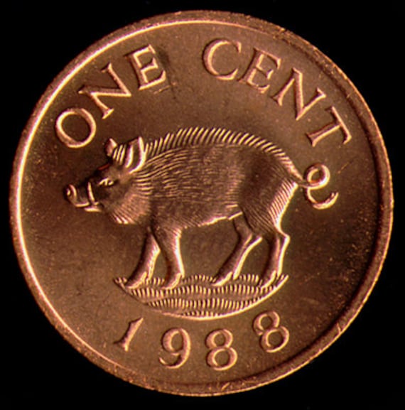 Cute Bermuda One Cent Wild Pig Boar Pig Coin Piglet Km44 Like Uncirculated Random Years Not Searched Etsy