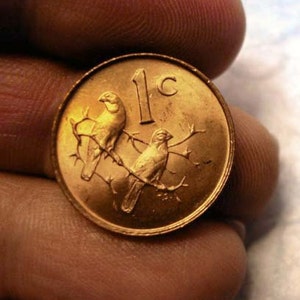 Birds on Branch Coin South Africa 1 Penny Copper Coin Sparrows on a ...