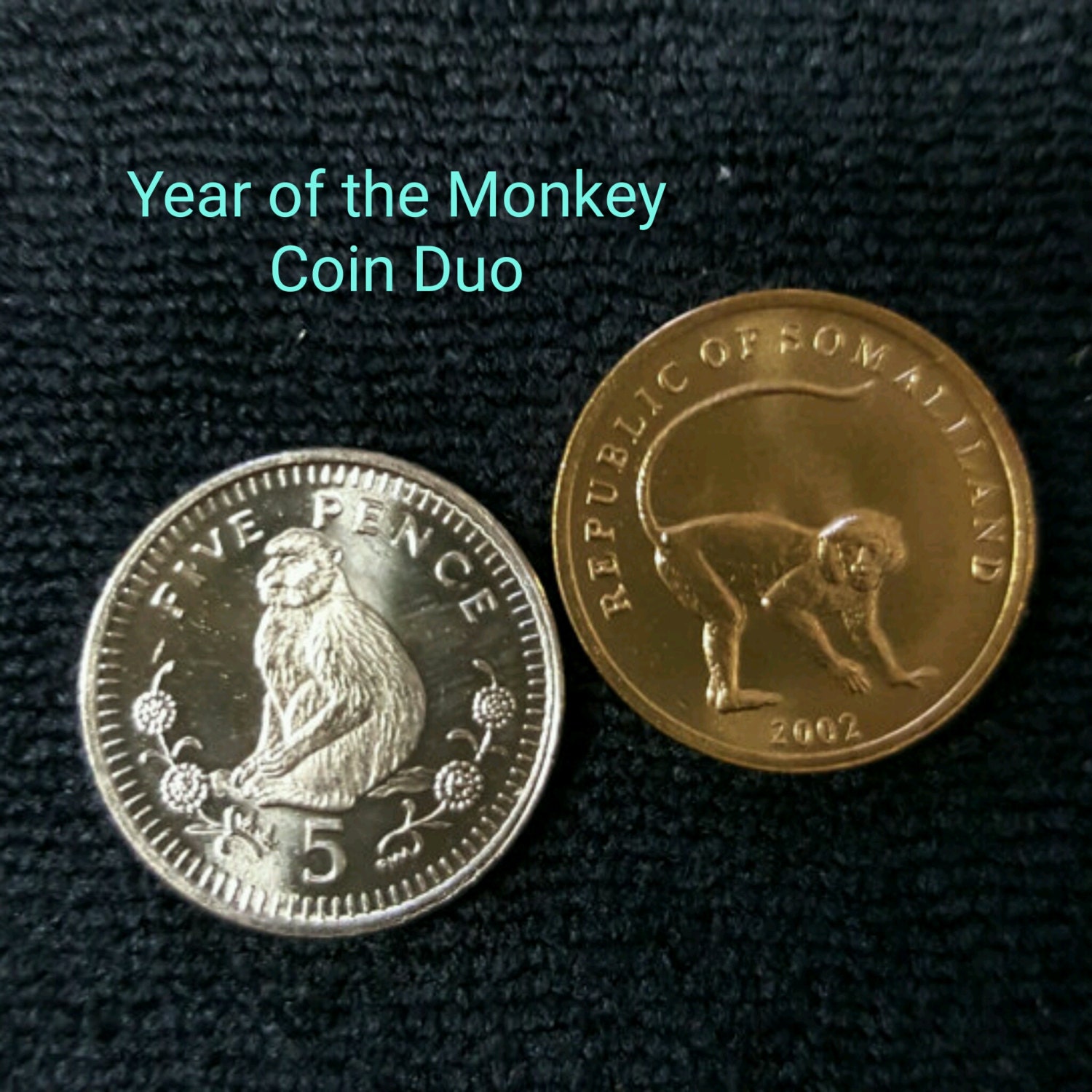 Monkey Coin Duo Gibraltar Barbary Macaque and Somaliland - Etsy Canada