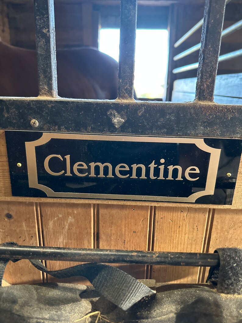 Personalized Stall Name Plates - Etsy