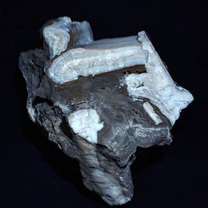 Fluorescent Travertine Flow Rock columbia, New York - Etsy