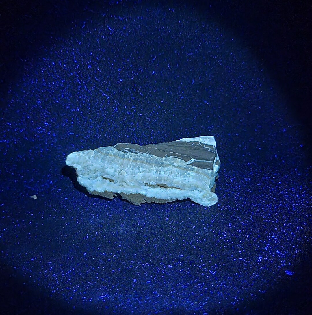 Fluorescent Travertine Flow Rock (columbia, New York) - Etsy