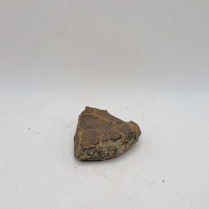 Barite Concretions (turtle Rock) - Etsy