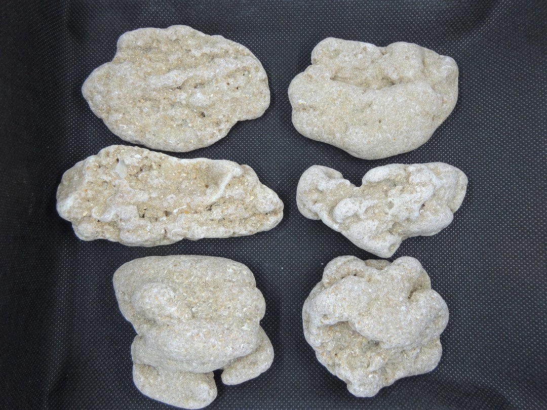 Coquina Rock: Brevard County, Florida - Etsy