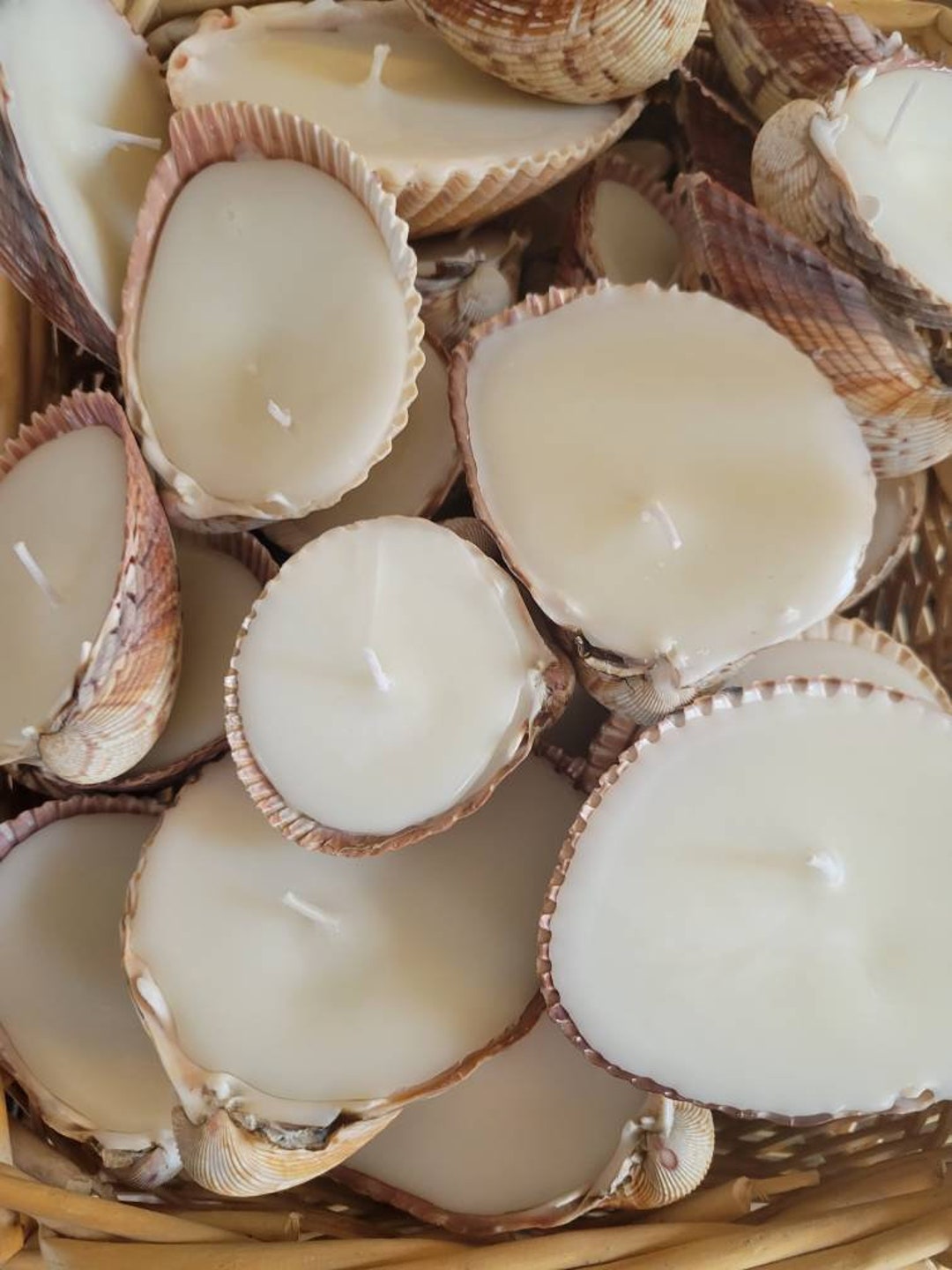 Medium Shell Candles (lot of 10) - Etsy