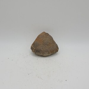 Barite Concretions (turtle Rock) - Etsy