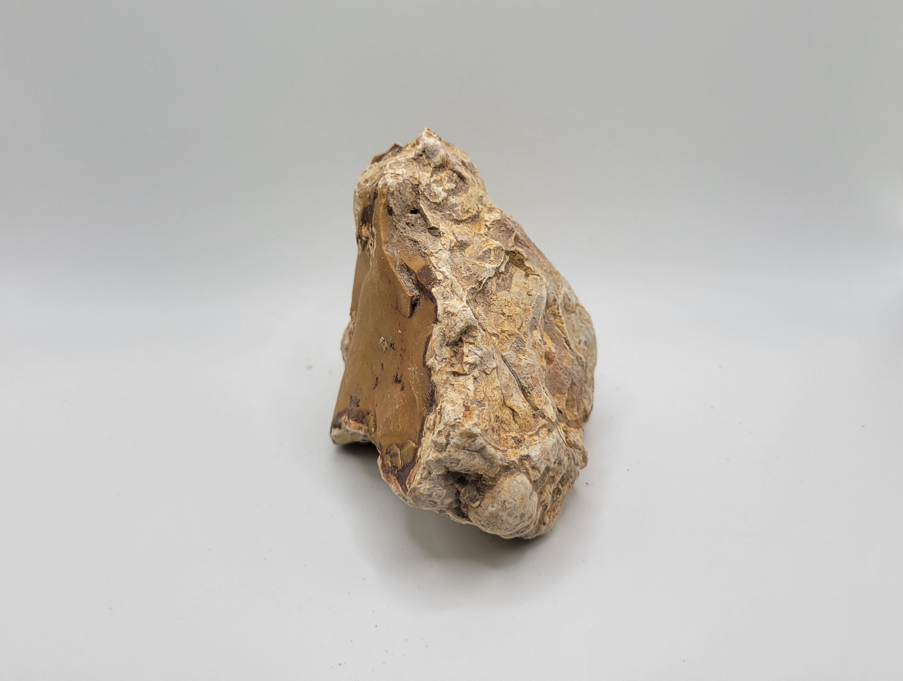 Jasper Thunderegg Half Geode Rough - Etsy