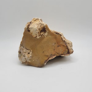 Jasper Thunderegg Half Geode Rough - Etsy