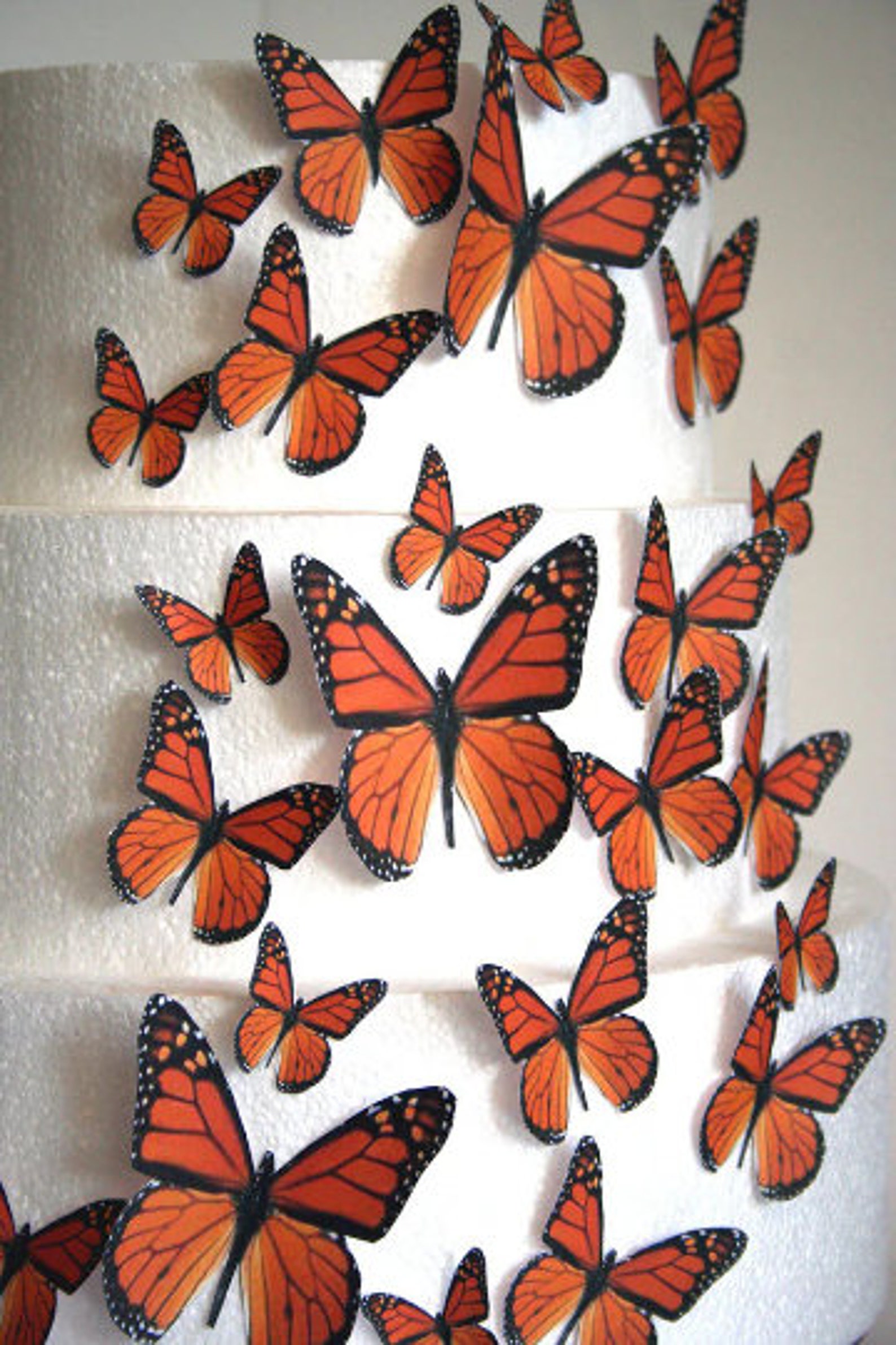 Edible Butterfly Cake Decorations, Orange Monarch Edible Butterflies ...