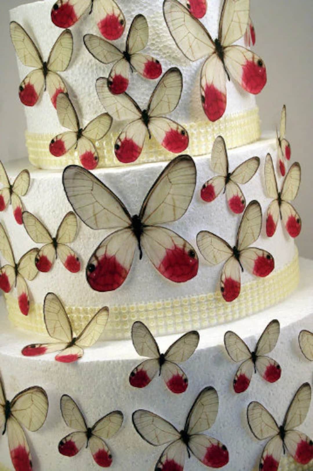Edible Butterfly Cake Decorations, White With Pink Edible Butterflies ...