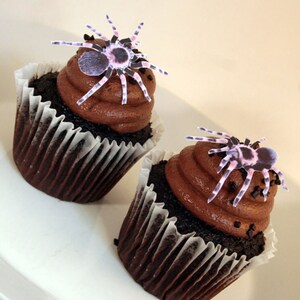 Edible Spiders Cake Decorations, Realistic Edible Spiders, Set of 12 ...