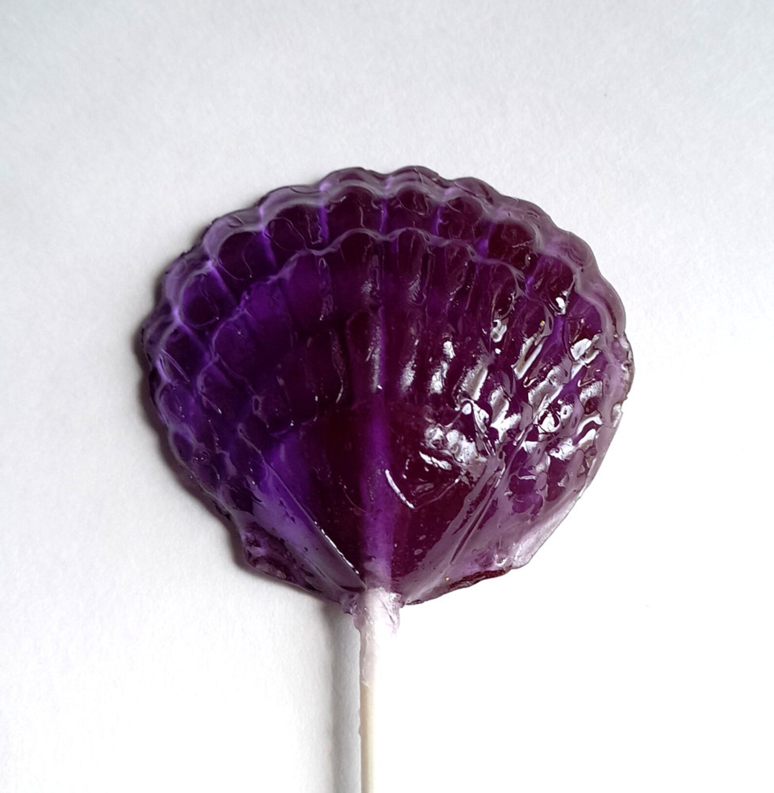 Seashell Lollipops in Various Colors, Beach Wedding Hard Candy, 6 ...