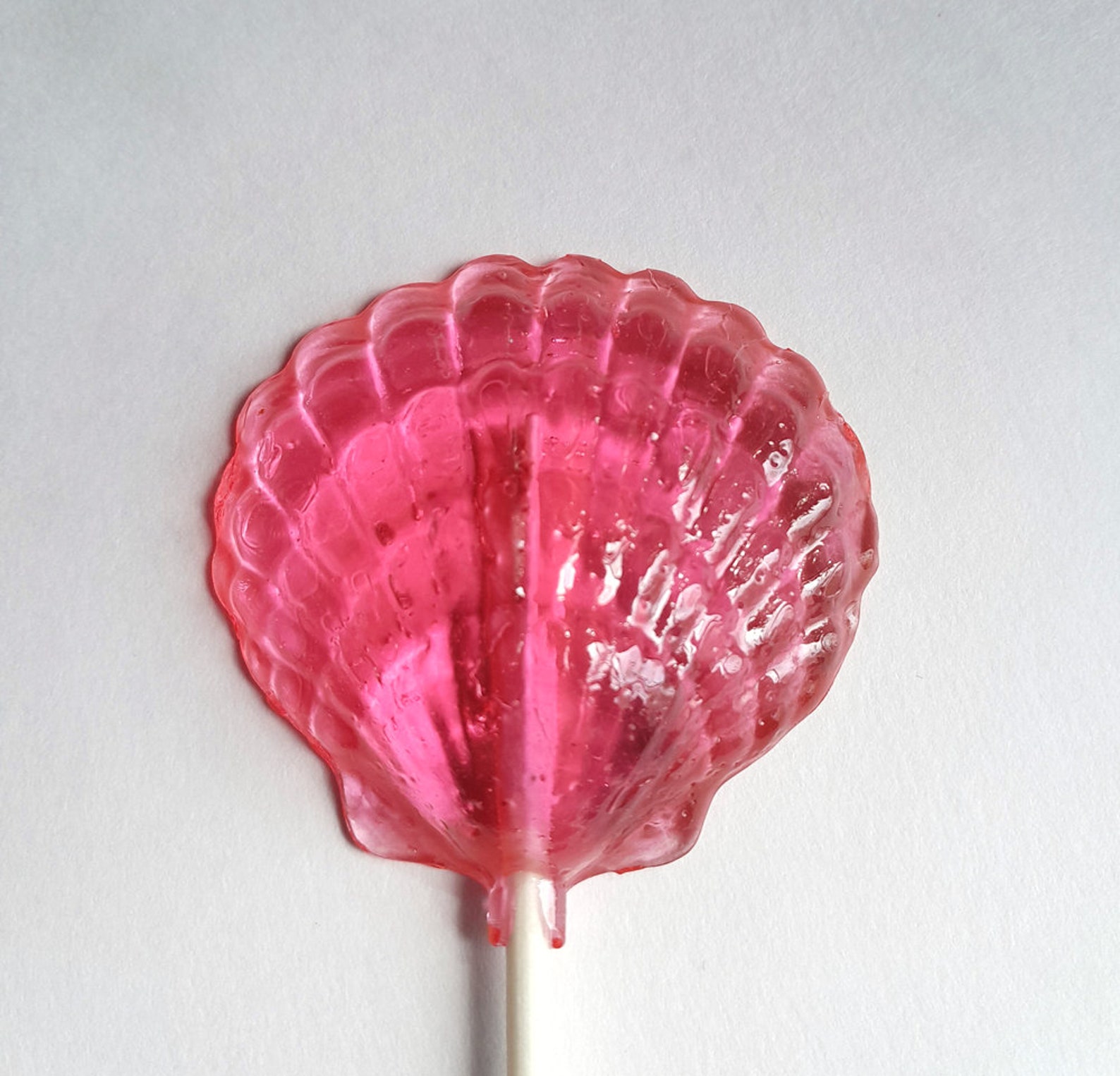 Seashell Lollipops in Various Colors, Beach Wedding Hard Candy, 6 ...