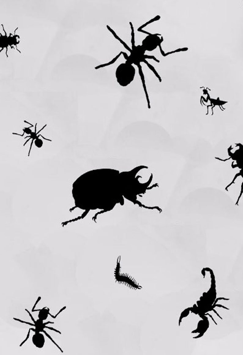 3D Wall Decor Crawling Bugs Wall Decor Halloween Party - Etsy