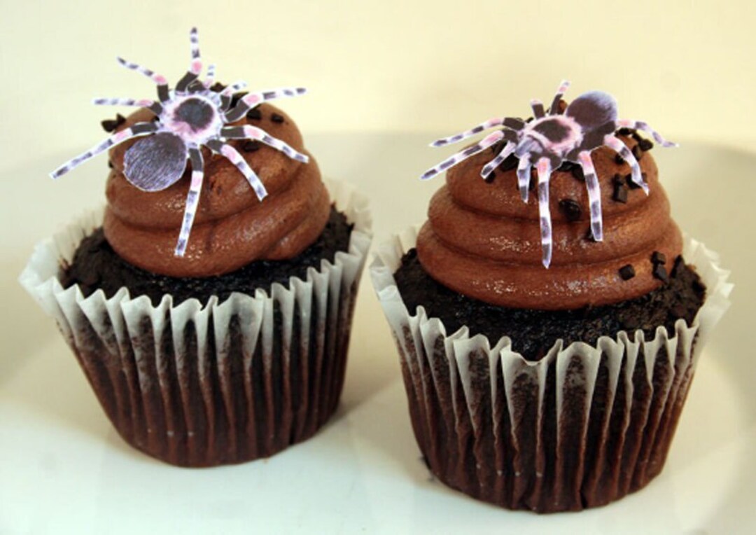 Edible Spiders Cake Decorations, Realistic Edible Spiders, Set of 12 ...