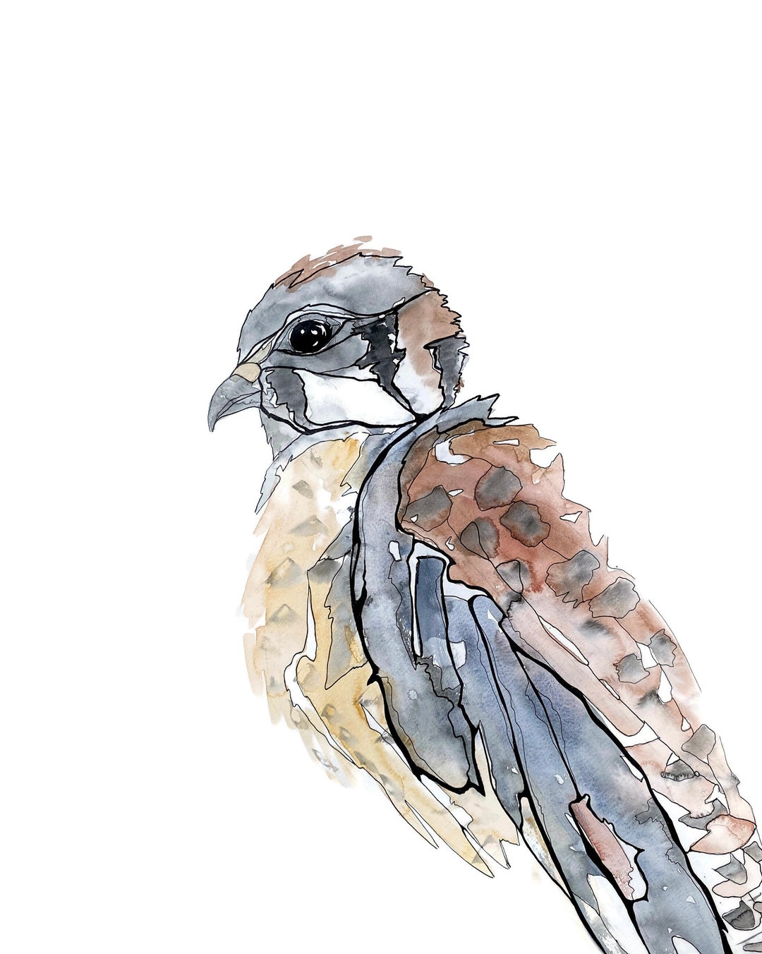 Falcon Bird Watercolor and Black Ink Original Painting - Etsy