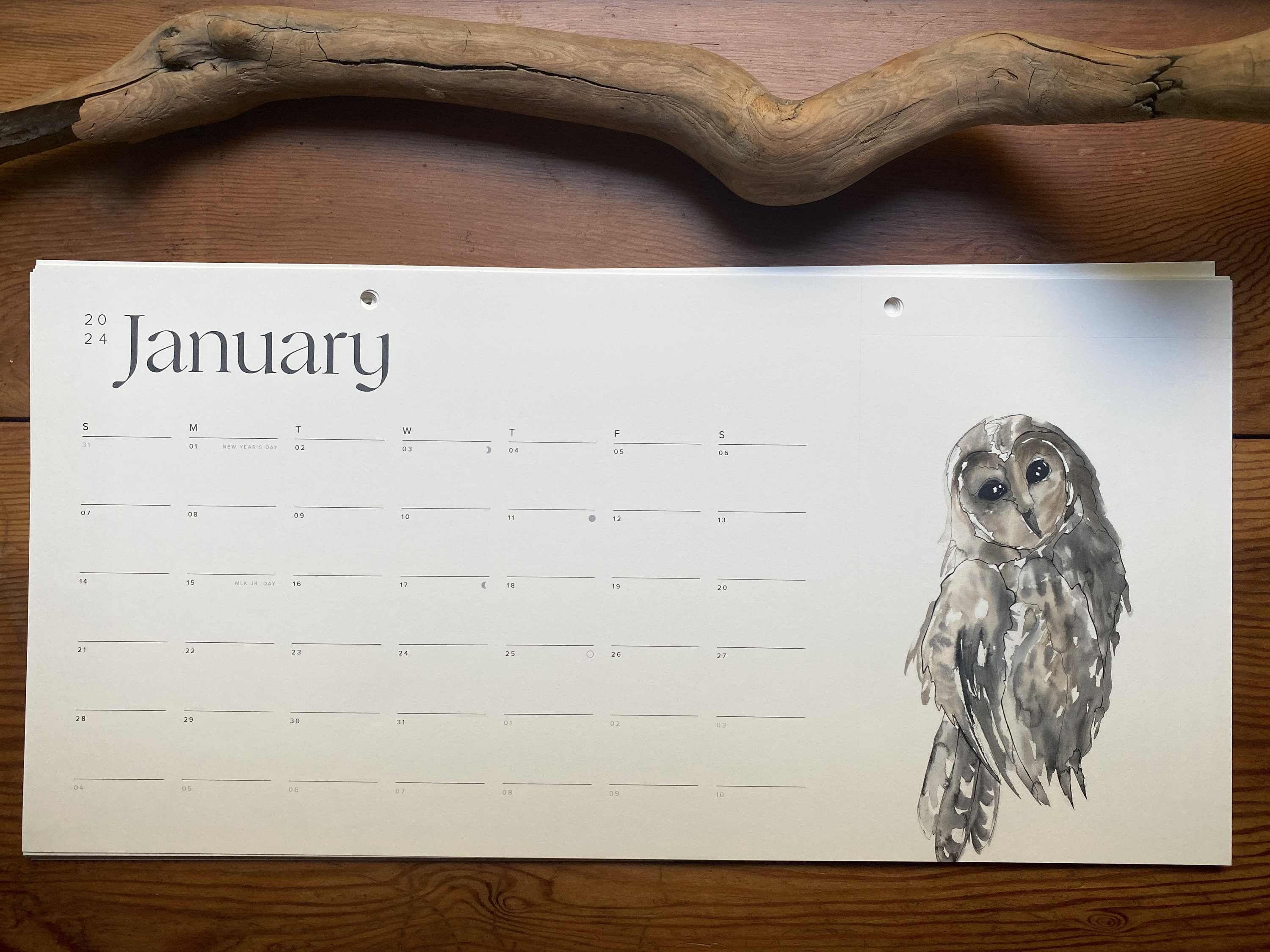 2024 Watercolor Bird Calendar - Etsy