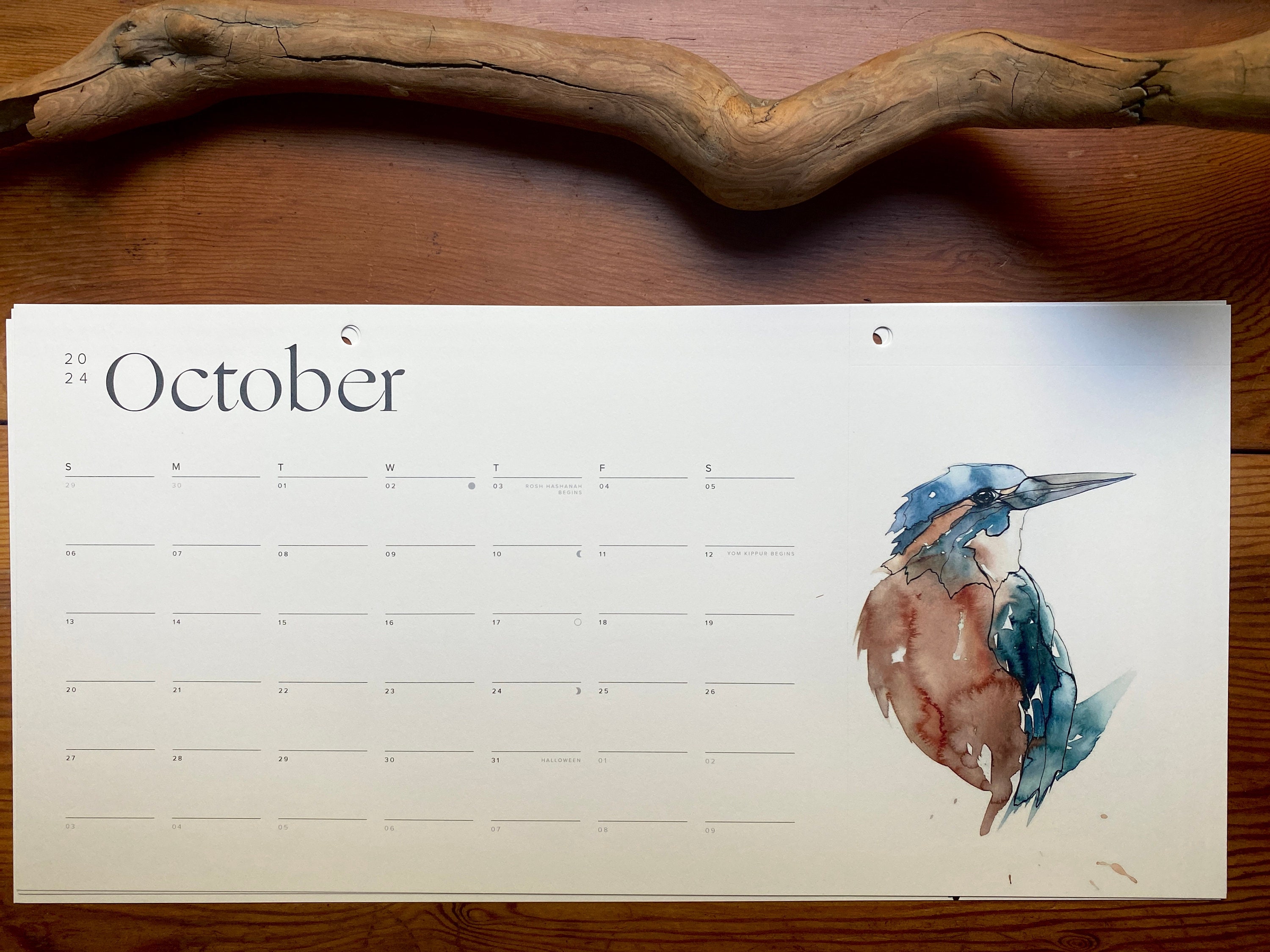 2024 Watercolor Bird Calendar - Etsy