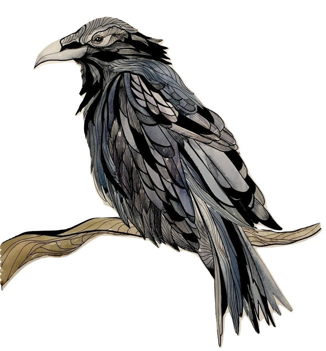 Set of 5 Watercolor and Ink Raven Greeting Cards, Pen & Ink, 4” X 6” - Etsy