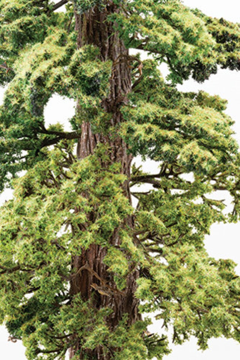 Dollhouse Miniature Handmade 21" Giant Sequoia Tree - 1/12 1/24 1:48 ...