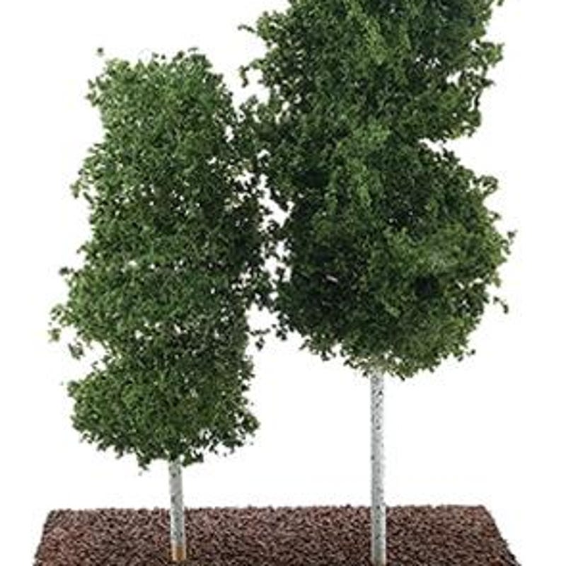 Miniature Trees - Etsy