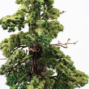 Dollhouse Miniature Handmade 21" Giant Sequoia Tree - 1/12 1/24 1:48 ...