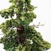 Dollhouse Miniature Handmade 21" Giant Sequoia Tree - 1/12 1/24 1:48 ...