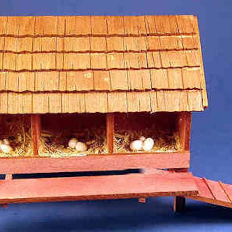 Miniature Chickens - Etsy