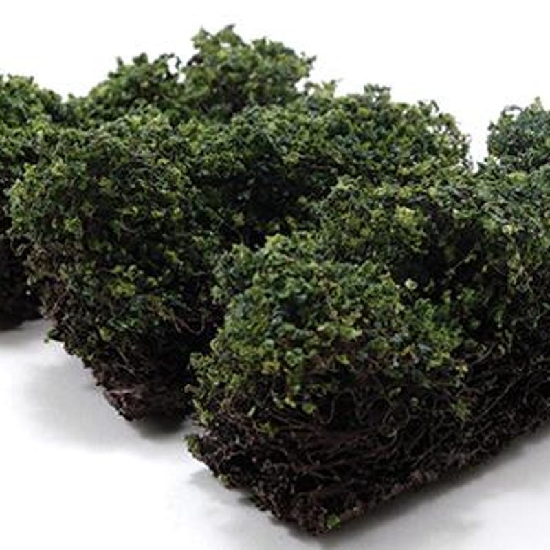 1/12 Bushes - Etsy