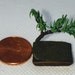 Dollhouse Miniature Bonsai Tree in Pot - 1:12 Scale - Etsy