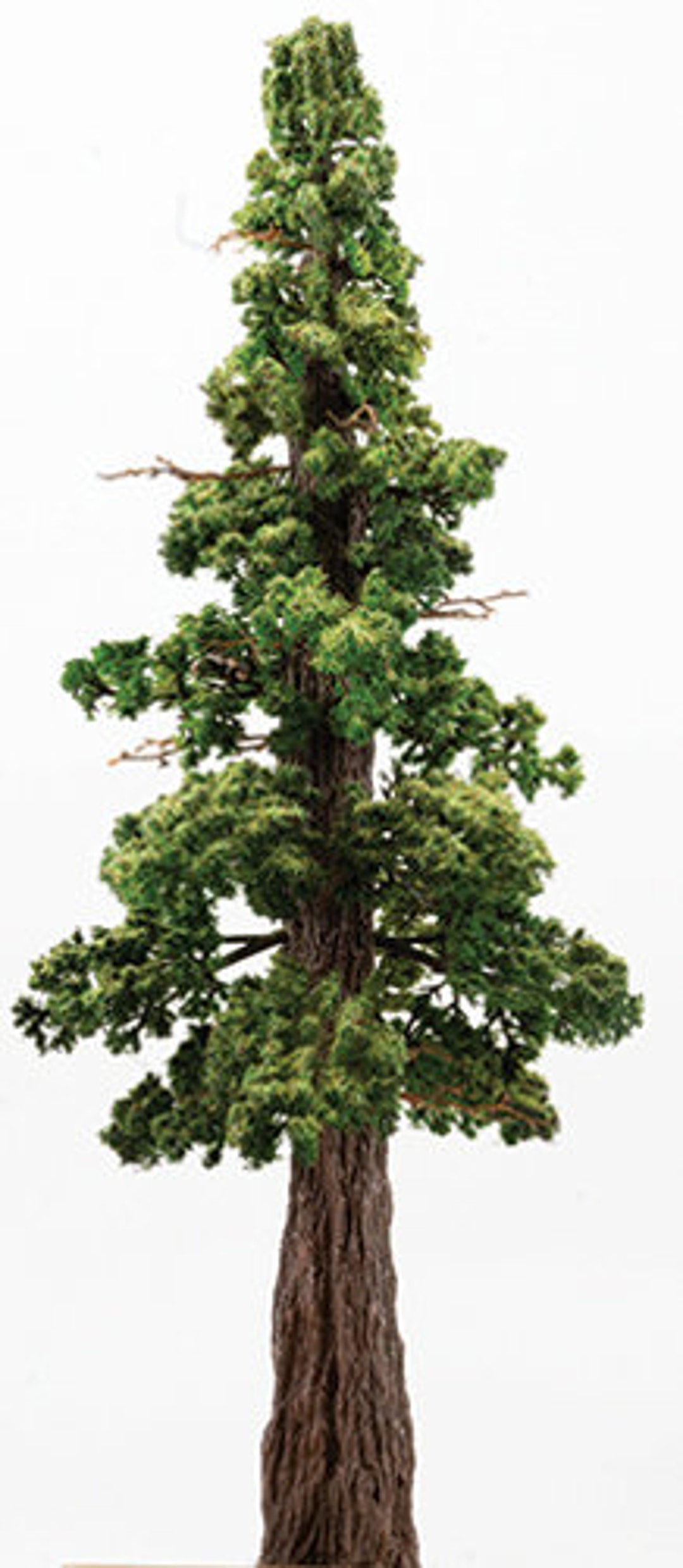Dollhouse Miniature Handmade 17" Giant Sequoia Tree - 1/12 1/24 1:48 ...