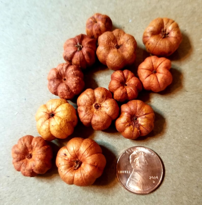 Dollhouse Miniature Pumpkins - Set of 12 - 1:12 Scale - Etsy
