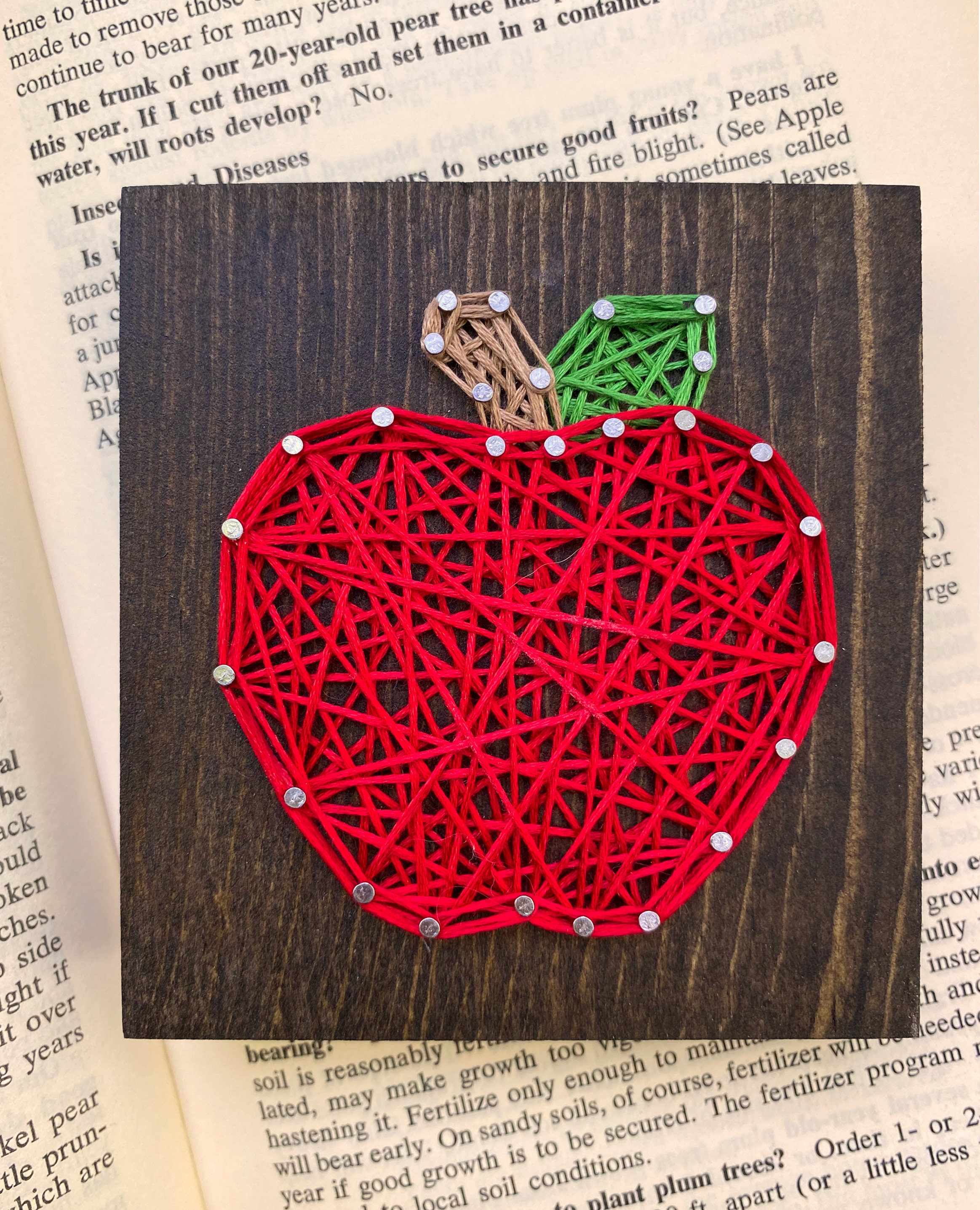 READY TO SHIP String Art Mini Apple Sign | Etsy