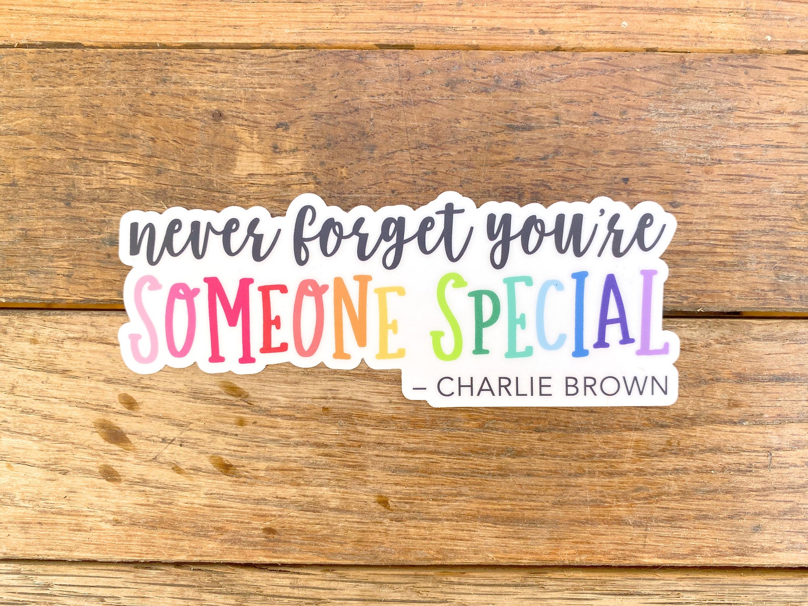Never Forget You're Someone Special Vinyl Sticker | Charlie Brown ...