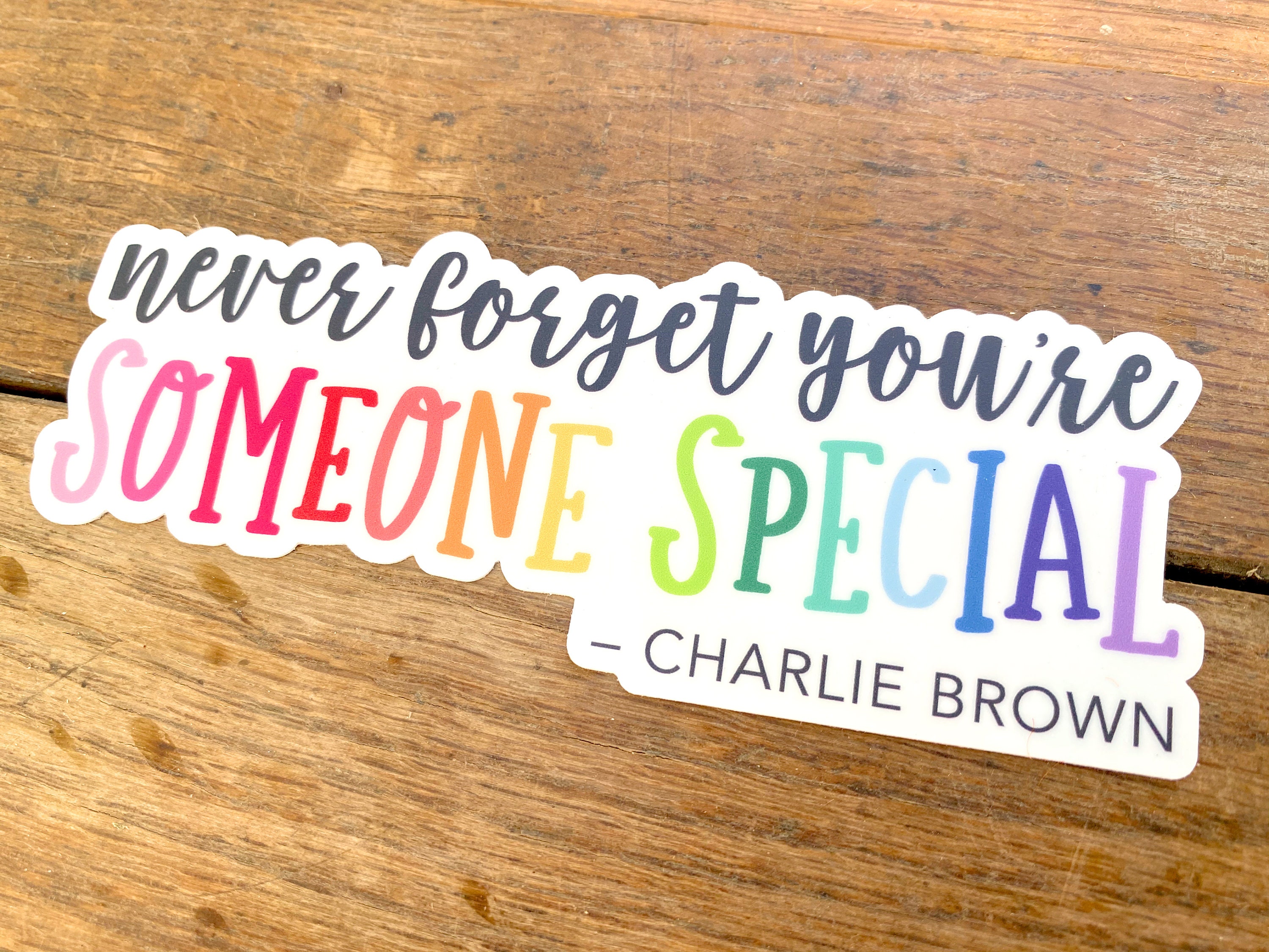 Never Forget You're Someone Special Vinyl Sticker | Charlie Brown ...
