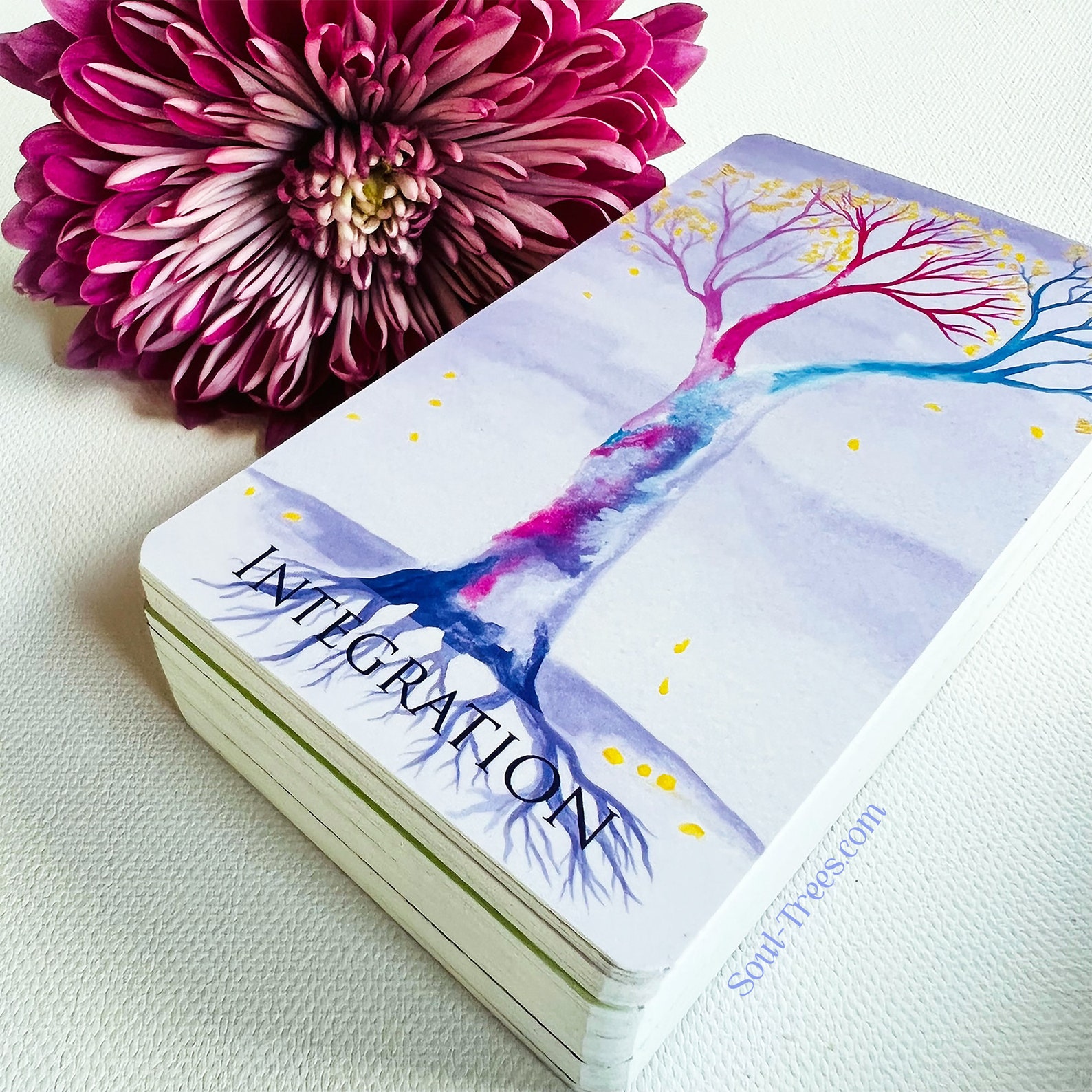Soul Trees Oracle Cards - Etsy