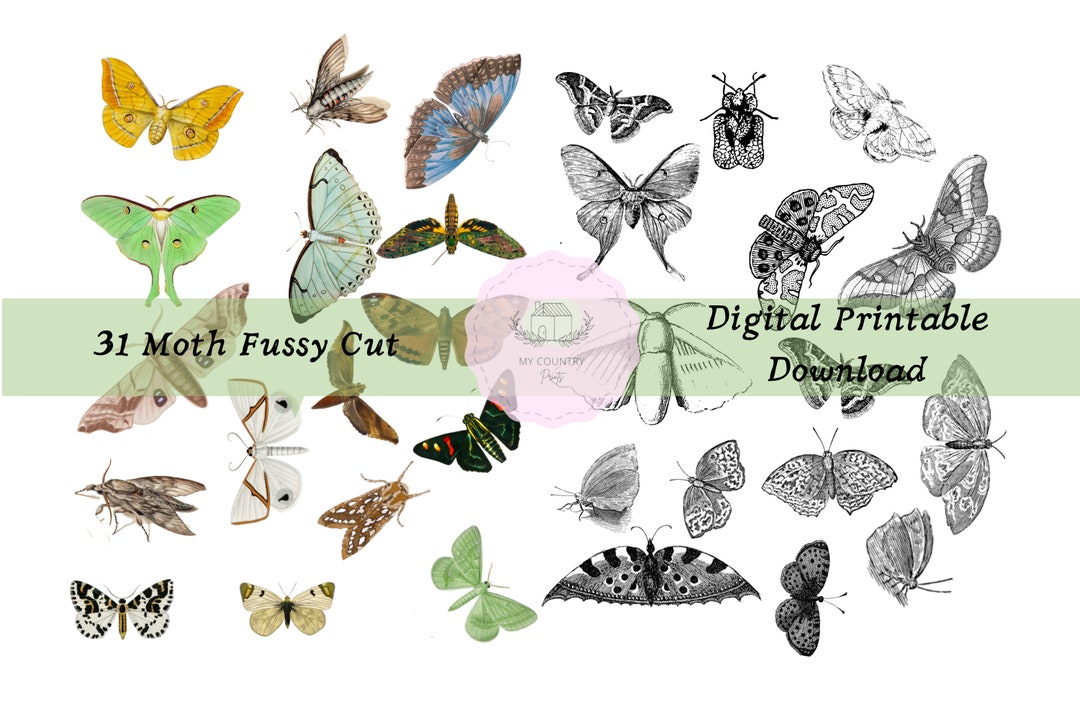 31 Fussy Cut Moth Ephemera Instant Digital Printable Download - Etsy