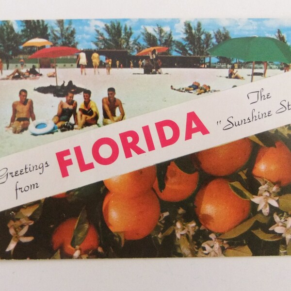 Florida Postcard - Etsy